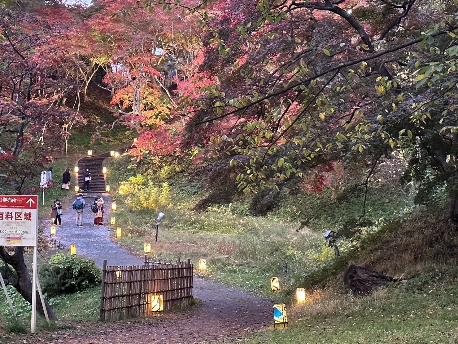 弘前公園秋情報(2023.11.02) - いいかも！！弘前 ～弘前シティプロモーションサイト～